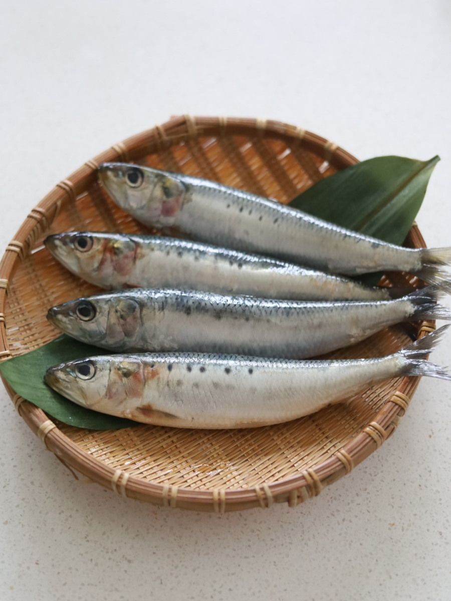 いわしの手開き 和食の基本 | レシピサイトNadia