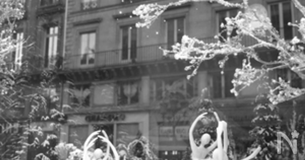 moiのレシピ一覧 | レシピサイトNadia